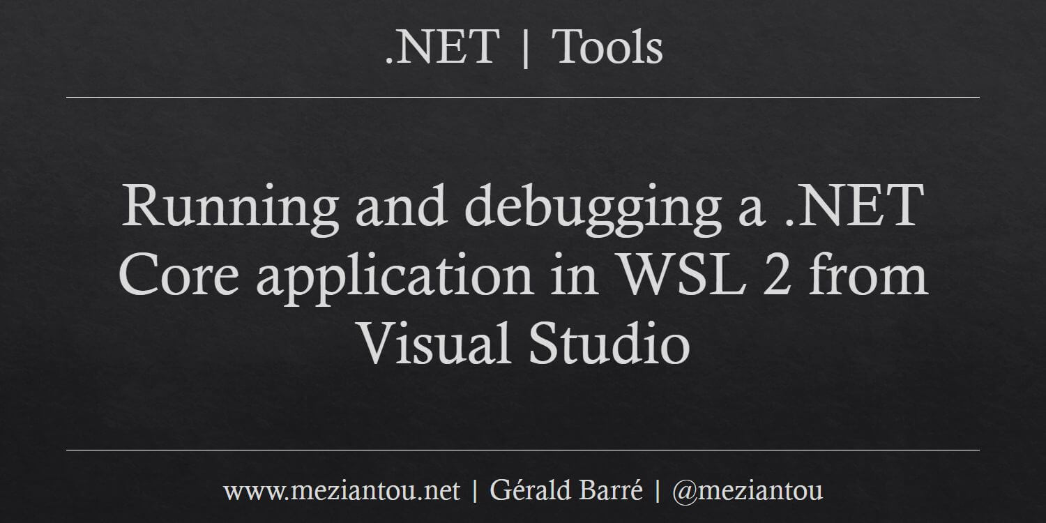 Running And Debugging A Net Core Application In Wsl 2 From Visual